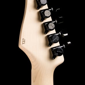 Suhr Classic T 24 Custom Buckeye Burl/Maple - Natural | Reverb