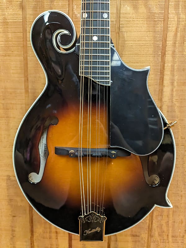 Kentucky KM-850 Artist F-model Mandolin Vintage Sunburst w/ | Reverb