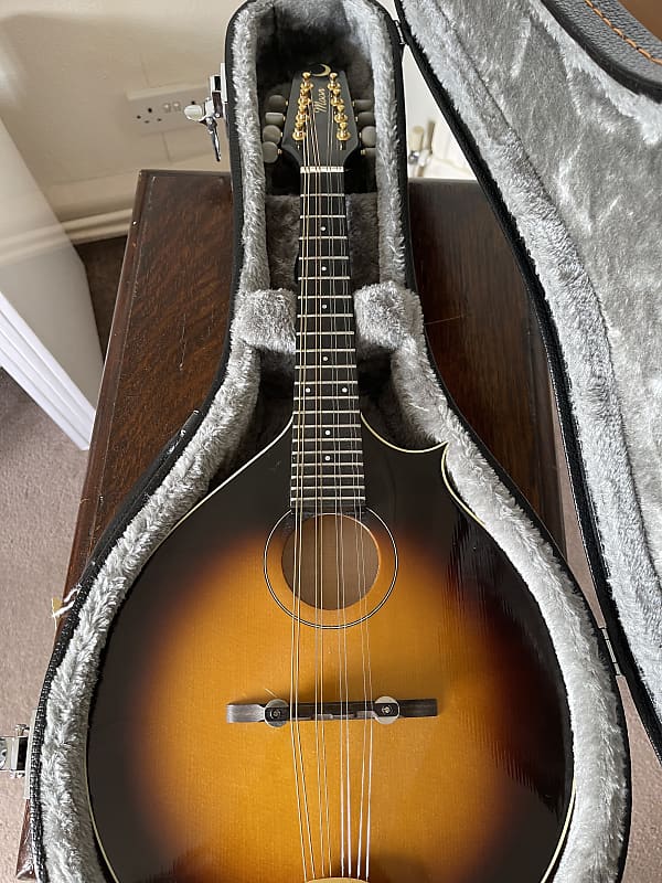 Moon Mandolin APULSE with pick up 2013 Sunburst - MINT | Reverb