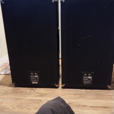 Sunn model 2 cabinet | Reverb