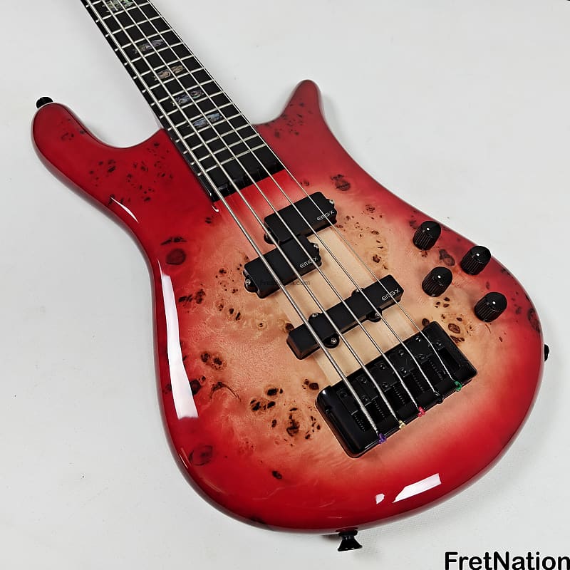 Spector EURO5 CST Natural to Red Gloss Poplar Burl 5-String | Reverb