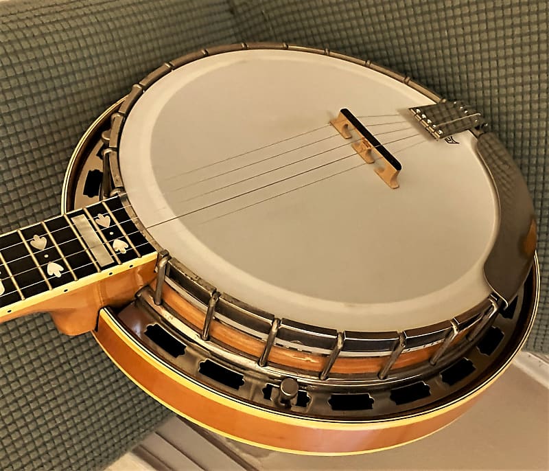 Vintage 1980 Goldstar/Tokai Banjo G12-HF maple banjo | Reverb