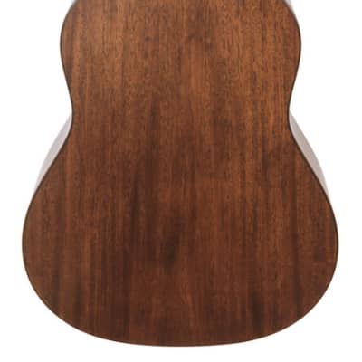 Taylor Builders Edition 517E Grand Pacific 2019 V-Class | Reverb