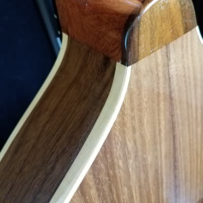 Thomas Buchanan 10 String , 5 course Mandolin / Mandola | Reverb