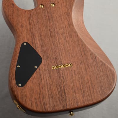 Deviser [Made in Japan] ROSETTA VESSEL SAKURA WSE'22 2022 | Reverb