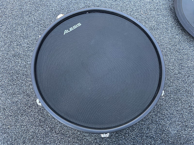 Alesis Strike Pro 14" Snare / Tom Pad Dual Zone Mesh | Reverb