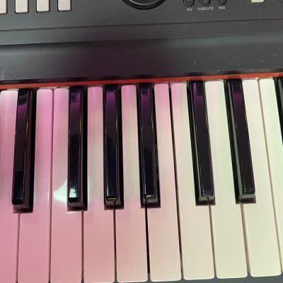 Yamaha Piaggero NP-V60 Keyboard | Reverb