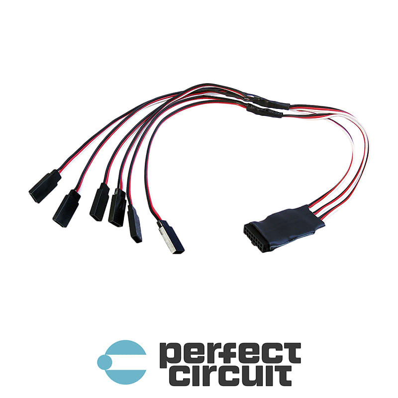 Pulp Logic Euro to Tile Power Cable | Reverb