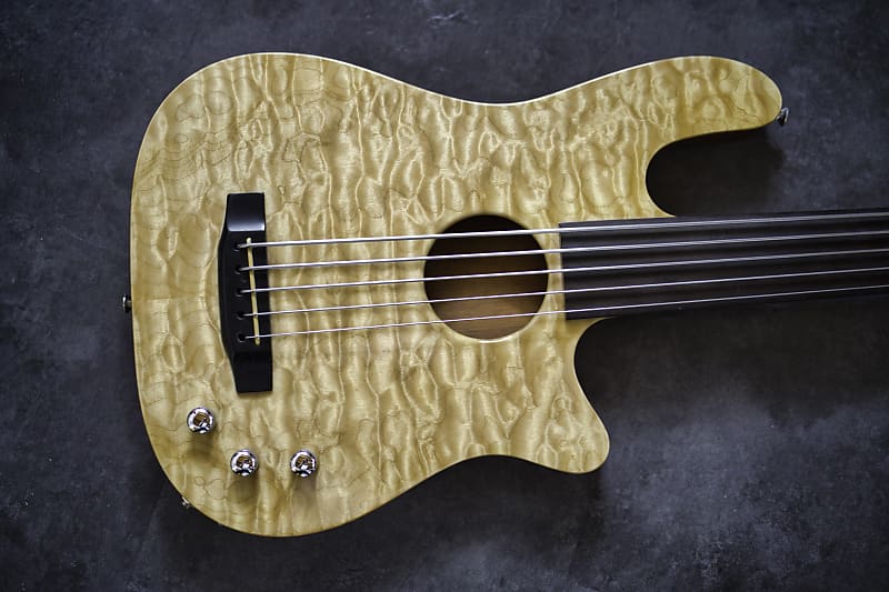 Carvin AC 50 F Elektro-Acoustic m. Fender Flats | Reverb