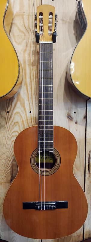 Guitare Raimundo Model 100 | Reverb