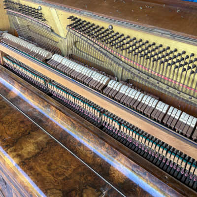 German Antique Upright Piano - 1800's Walnut/Ivory | Reverb