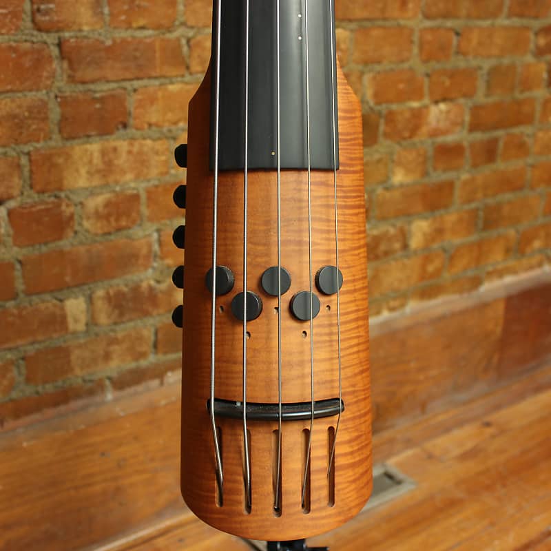 NS Design EU5 Upright Bass | Reverb