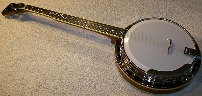 Custom 5 string banjo, tunneled 5th string | Reverb