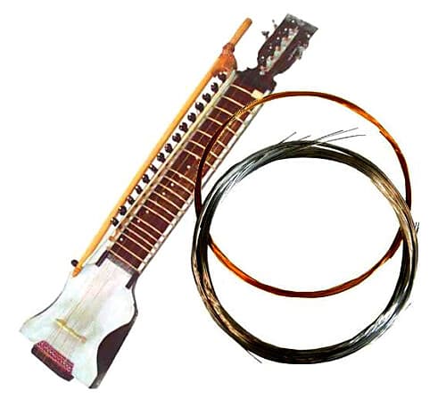 Naad TOP-QUALITY INDIAN DILRUBA / ESRAJ / ISRAJ STRING SET, | Reverb