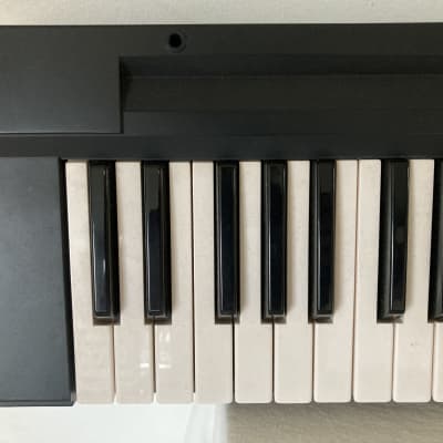 Yamaha YK-20 | Reverb