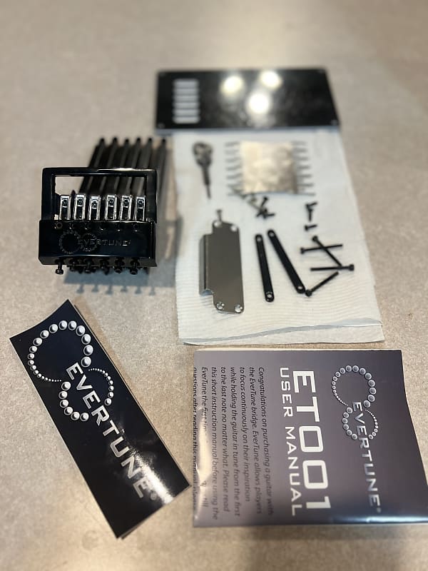 Evertune F Model 6 String | Reverb