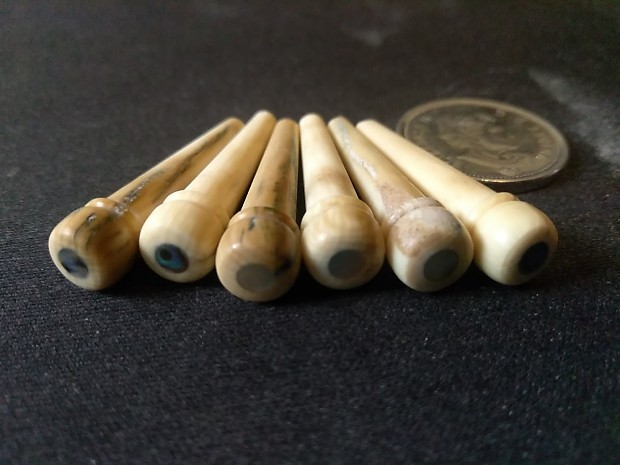 Fossil Ivory Bridge Pins Unslotted for Collings, Bourgeois, | Reverb
