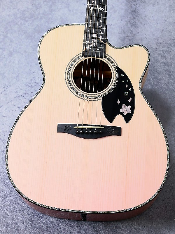 Headway HC-"TATUSAKURA" 2024 - cherry color | Reverb Canada