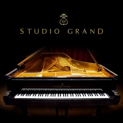 XLN Audio Addictive Keys: Studio Grand Steinway Model D | Reverb