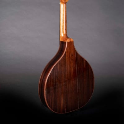 Fylde Touchstone Signature Mandolin 2023 | Reverb