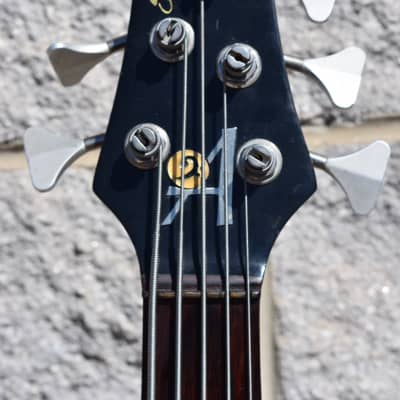 Scott Ambush Custom 5 String Bass | Reverb