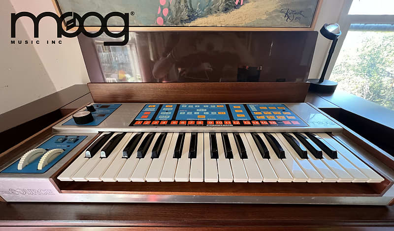 Moog The Source Early 80's - Metal & Wood | Reverb
