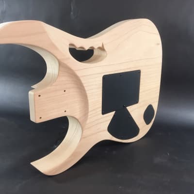 Unfinished 6 string, Jem style Alder guitar body, rear route, | Reverb