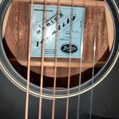 Babicz Identity Spider with Custom Hard Case | Reverb