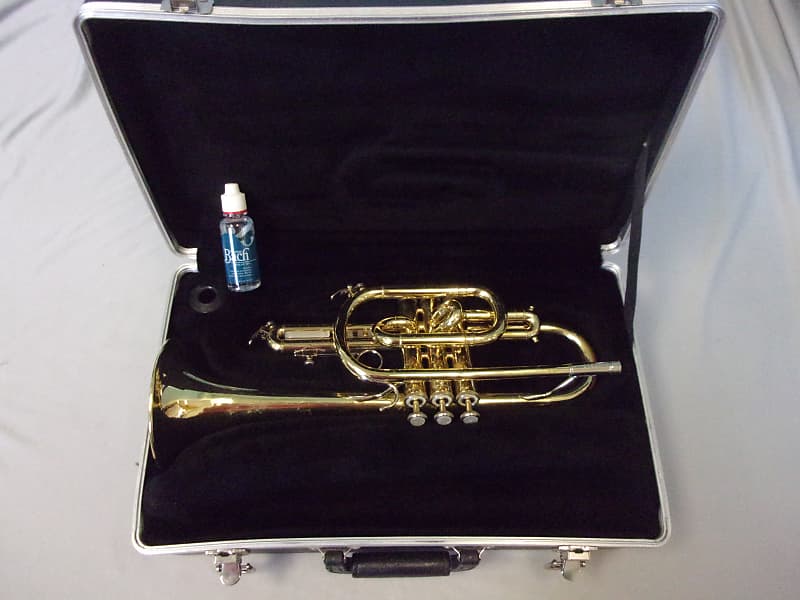 READY TO PLAY! BACH U.S.A. CR300 CORNET + CASE + BONUS | Reverb