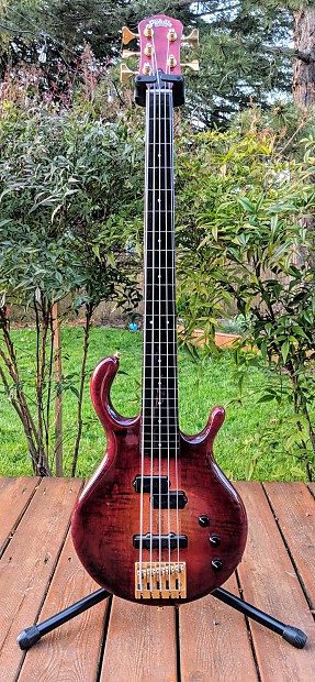 Pedulla Pentabuzz fretless bass | Reverb Australia