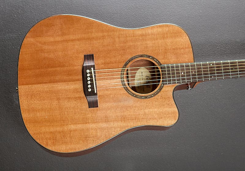 Bedell Encore Series BSDCE-18G, Recent | Reverb