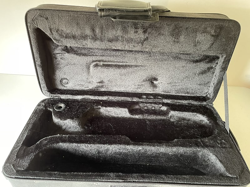 Eastman Trumpet case | Reverb