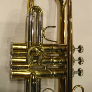 NEW Stagg 77-T HG Trumpet w/ Hard Case | Reverb