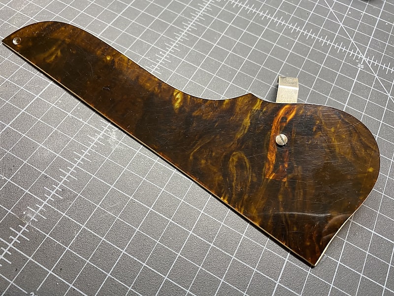 Hofner Congress 50s 60s Celluloid Tortoise Shell Pickguard | Reverb