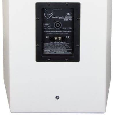 Peavey SSE Line Array Speaker system with Subs, Controller | Reverb