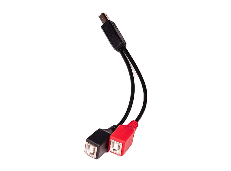 1010 Music USB B Splitter Cable For Bluebox | Reverb