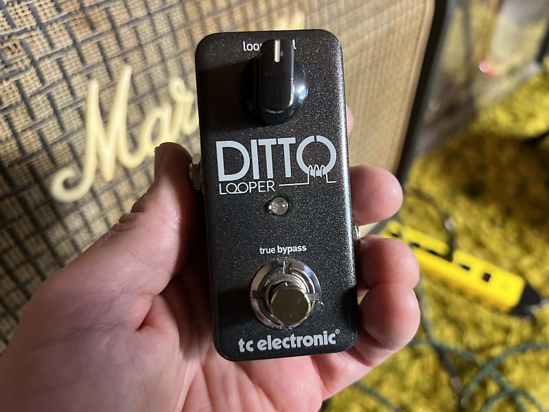 TC Electronic Ditto Loop pedal | Reverb