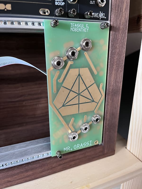 Ieaskul F Mobenthey Mr. Grassi | Reverb