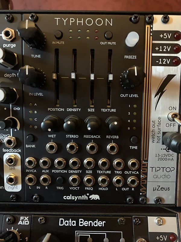 CalSynth Typhoon Mutable Instruments Clouds Clone - Black | Reverb