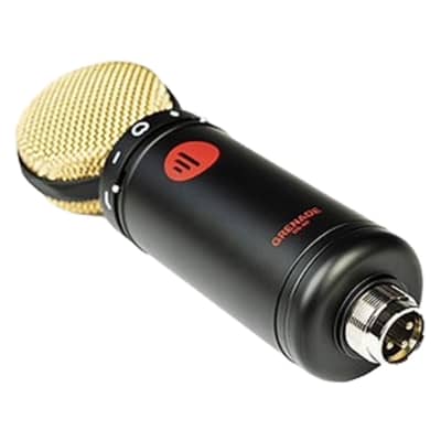 Direct Sound DS-60 Large Diaphragm Condenser Microphone | Reverb
