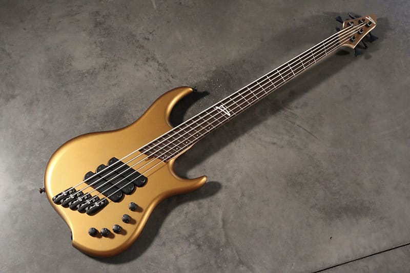 Dingwall Lee Sklar 2023 - Ari Gold | Reverb