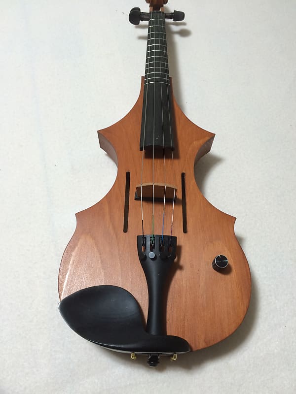 Violin. Fretted, semi acoustic / electric | Reverb