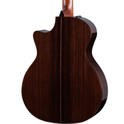 Taylor 914ce Special-Edition Rosewood/Sitka Cindy Inlay | Reverb