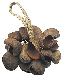 TOCA T-SS Seed Shell Shaker | Reverb