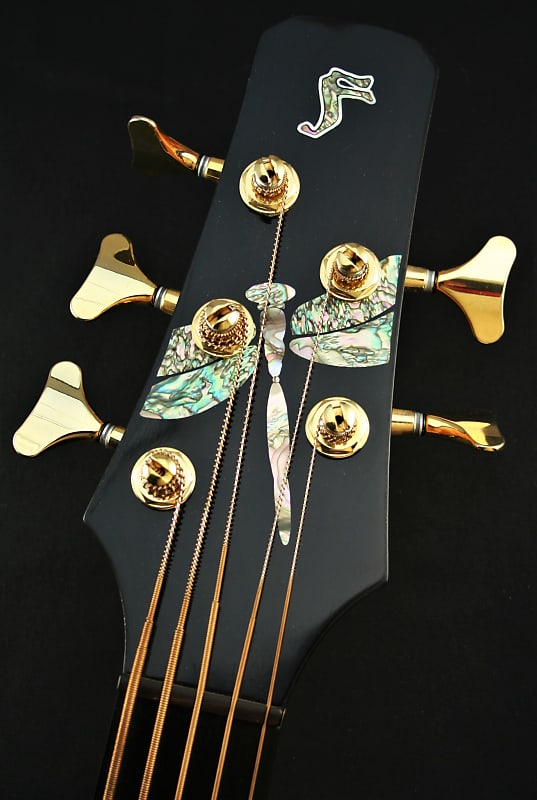 Harry Fleishman 'Dragonfly'. 1995 One of a Kind Acoustic | Reverb