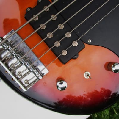 Fernandes Atlas 5 String Bass Guitar, 2011, 34" Scale, | Reverb