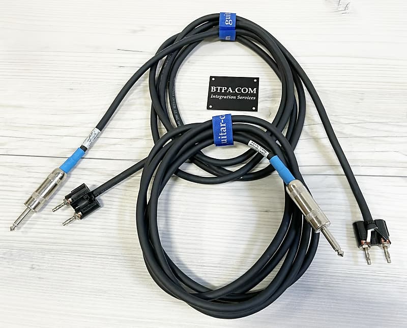 Best-Tronics Pro Audio 10 Foot 12 AWG Speaker 1/4" to Banana | Reverb