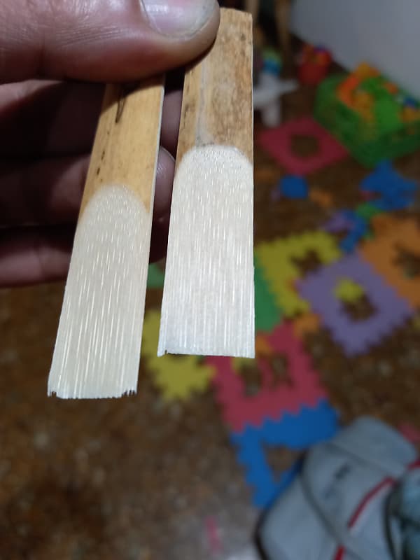 Hand Made Reed For Alto Sax Unfiled | Reverb
