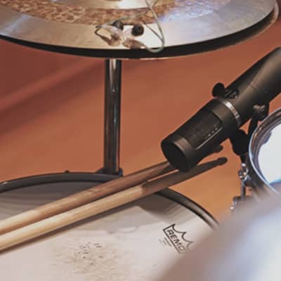 AEA KU5A Phantom Powered Ribbon Microphone | Reverb