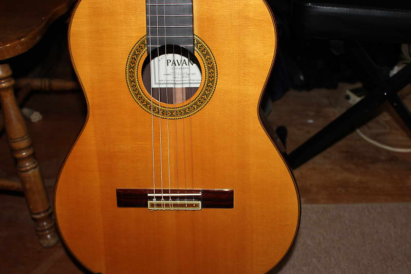 Pavan TP 30-64 2021 Spruce Top. 640 mm scale | Reverb